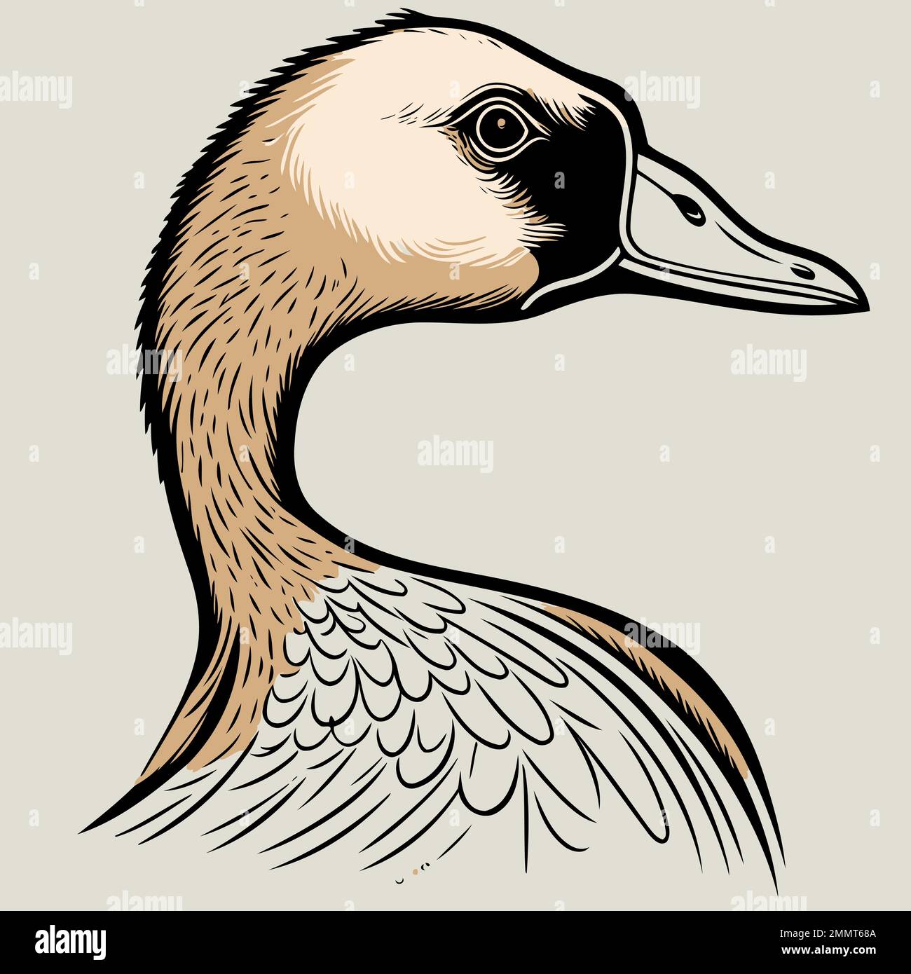 Vector illustration of animal head goose a waterfowl bird species of ...