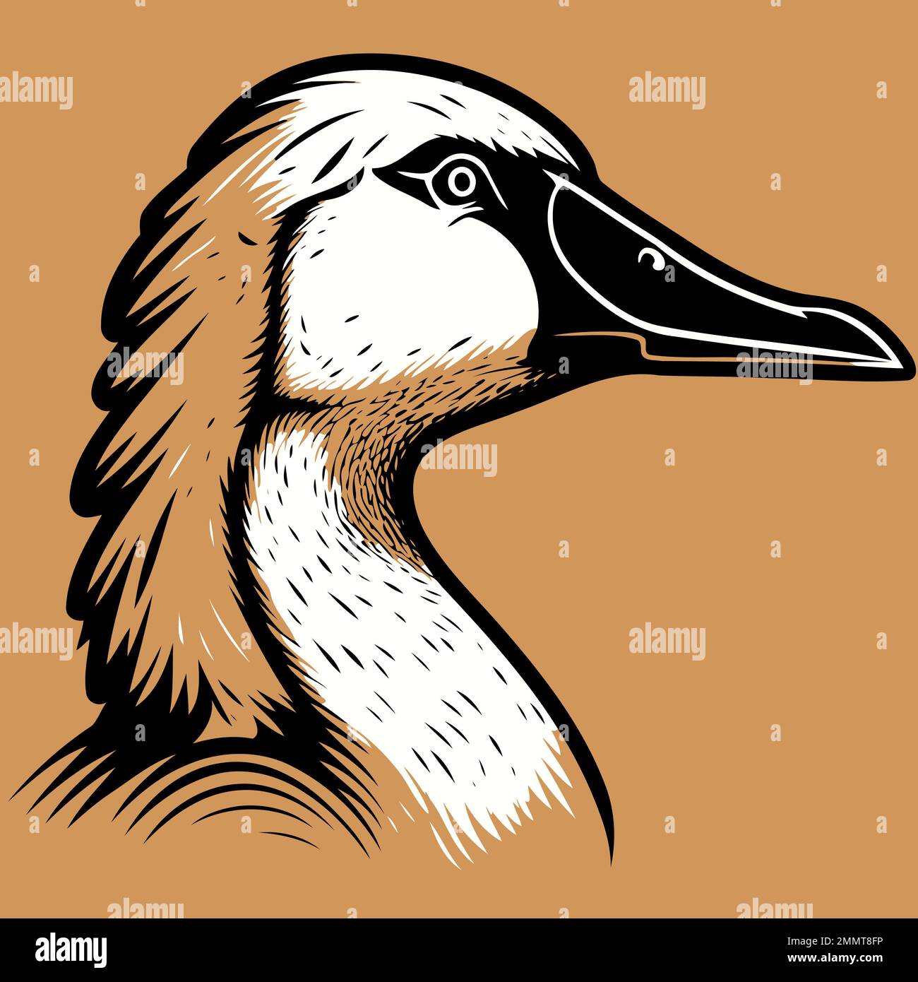 Vector illustration of animal head goose a waterfowl bird species of ...