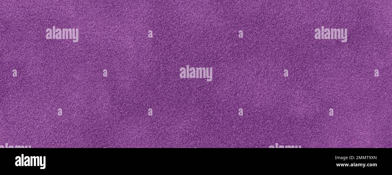 Dark purple matte background of suede fabric, closeup. Velvet texture ...