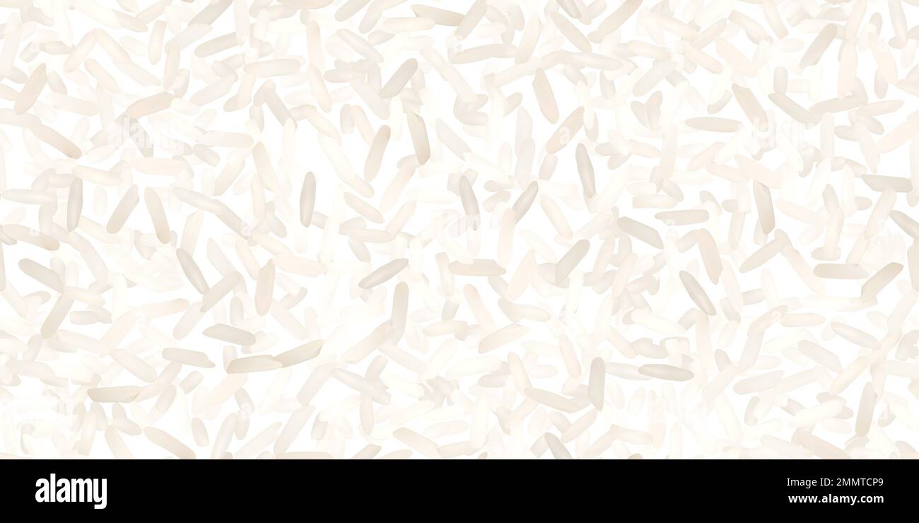 Uncooked basmati or jasmine rice seamless pattern on white Stock Vector ...