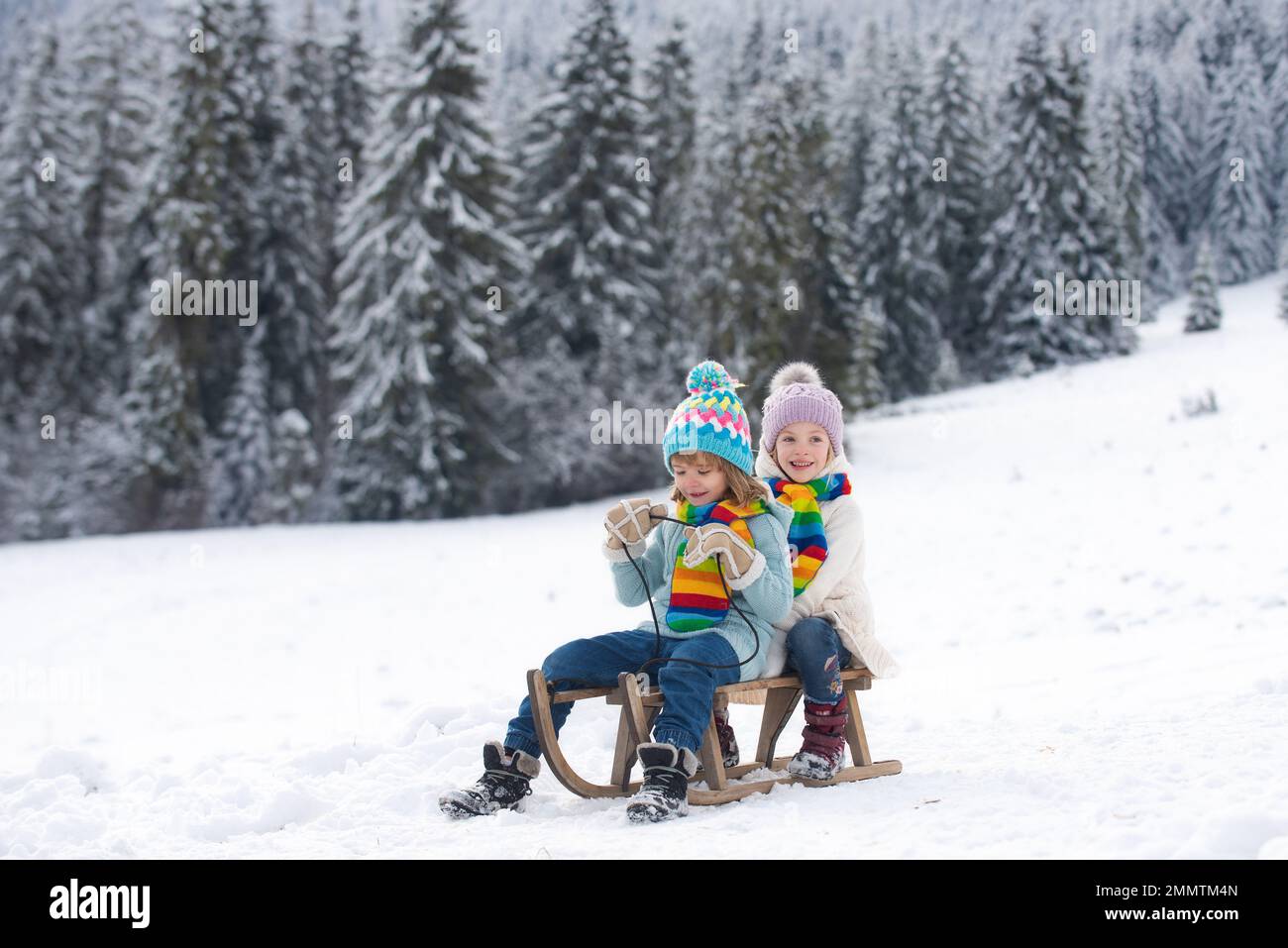Winter scene with snowy forest. Little boy and girl sledding in winter ...