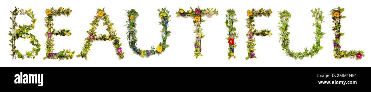 Blooming Flower Letters Building English Word Beautiful Stock Photo - Alamy
