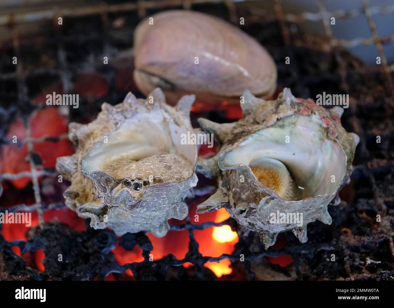 Turban shell - or "Sazae no Tsubaki" in Japanese - being grilled by a ...