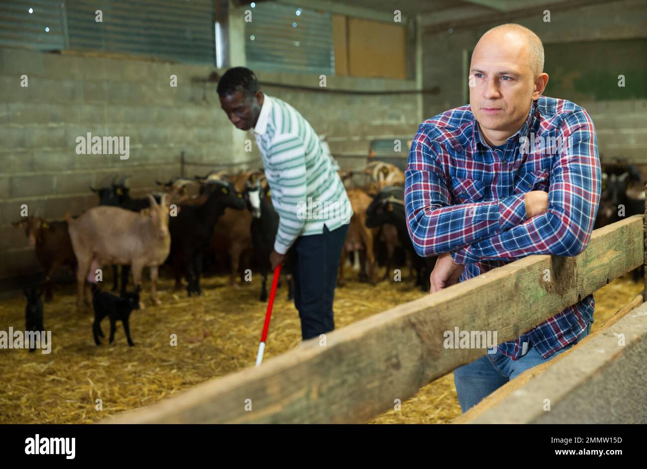 Portrait of man goat breeder Stock Photo - Alamy