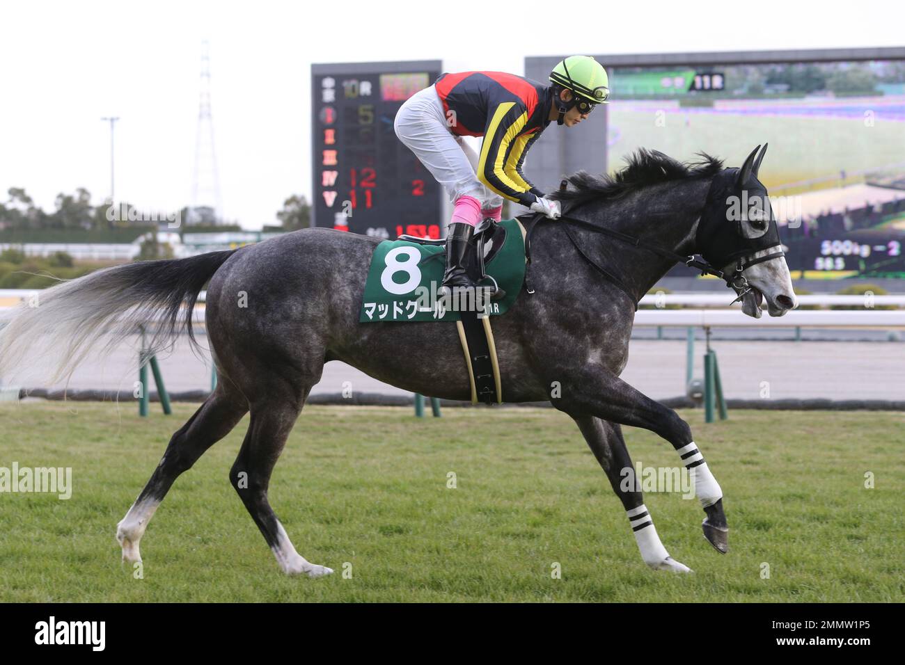 Mad cool hi-res stock photography and images - Alamy