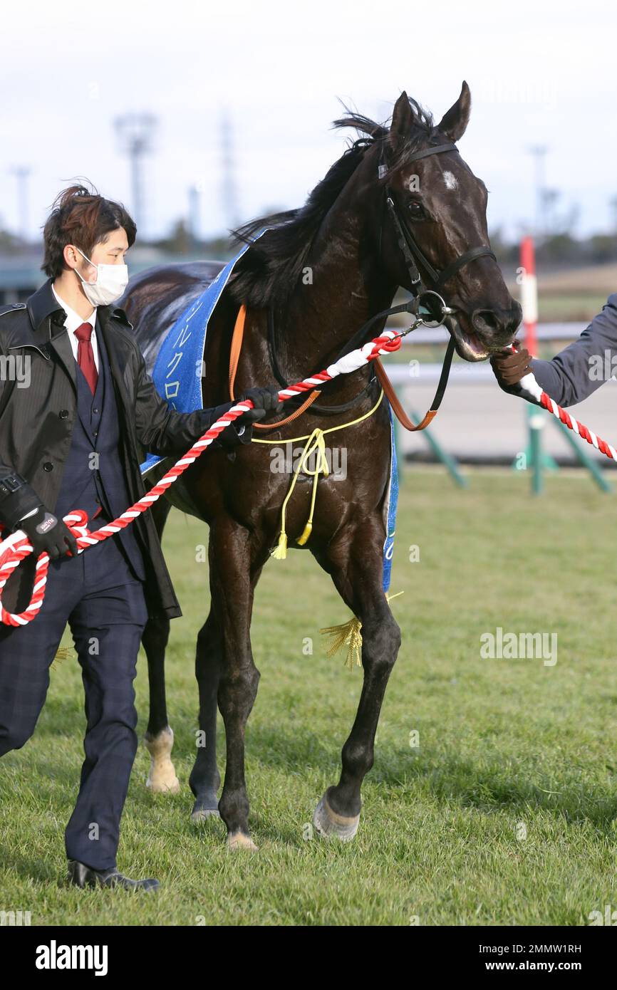 Aichi, Japan. 29th Jan, 2023. Namura Clair won the Silk Road Stakes at ...