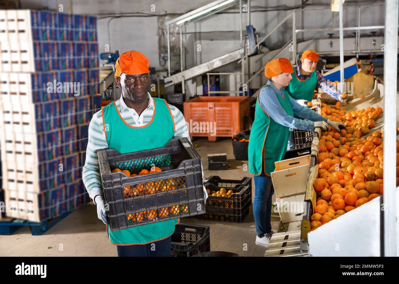 Man carrying oranges hi-res stock photography and images - Alamy