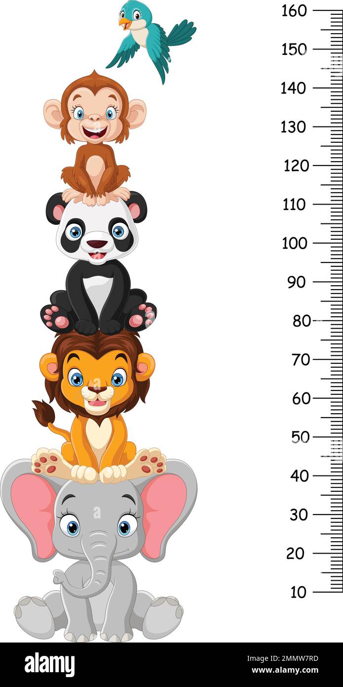 Cartoon zoo animals with meter wall Stock Vector Image & Art - Alamy