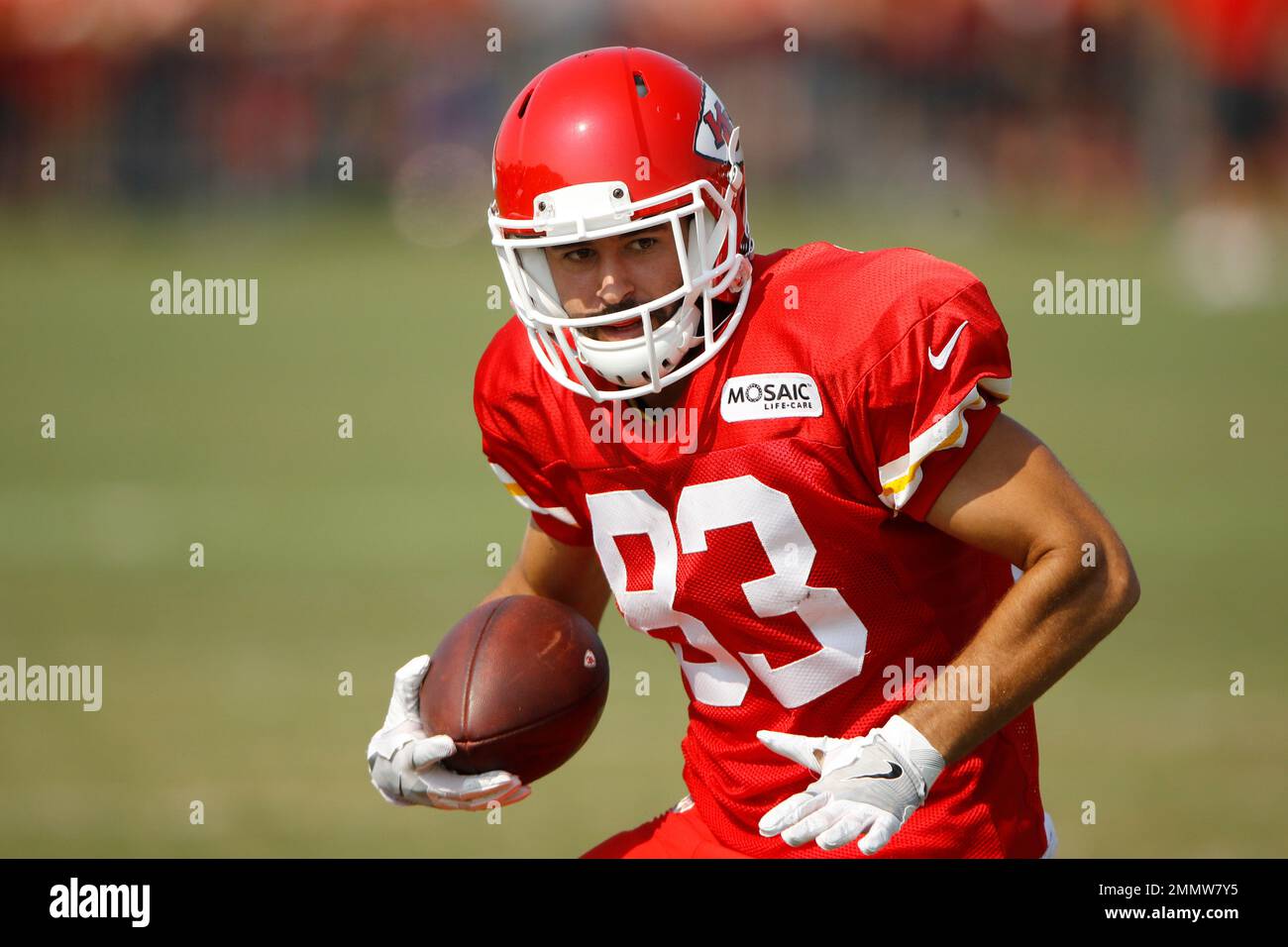 Kansas City Chiefs wide receiver Daniel Braverman runs the ball at NFL ...