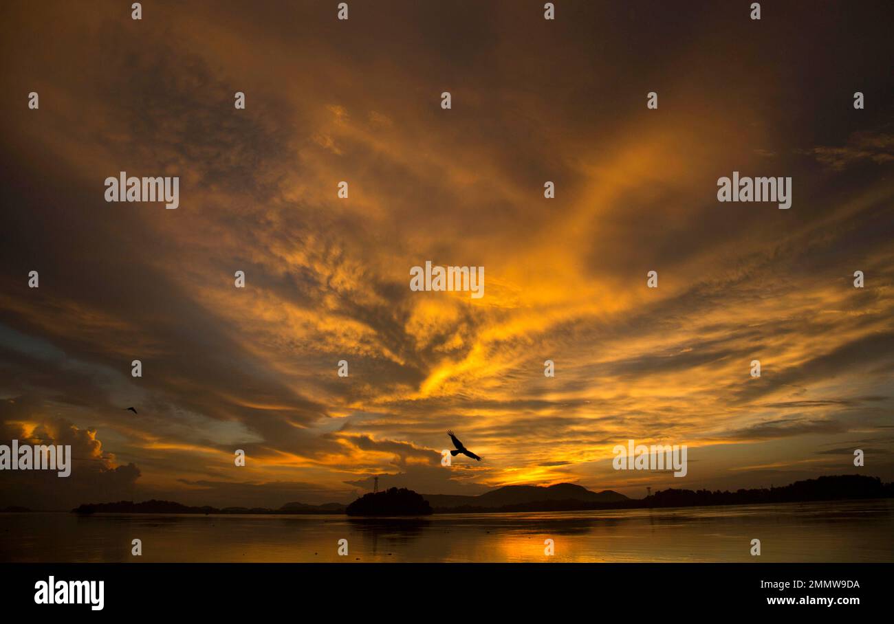 A bird flies over the river Brahmaputra at sunset in Gauhati, India ...