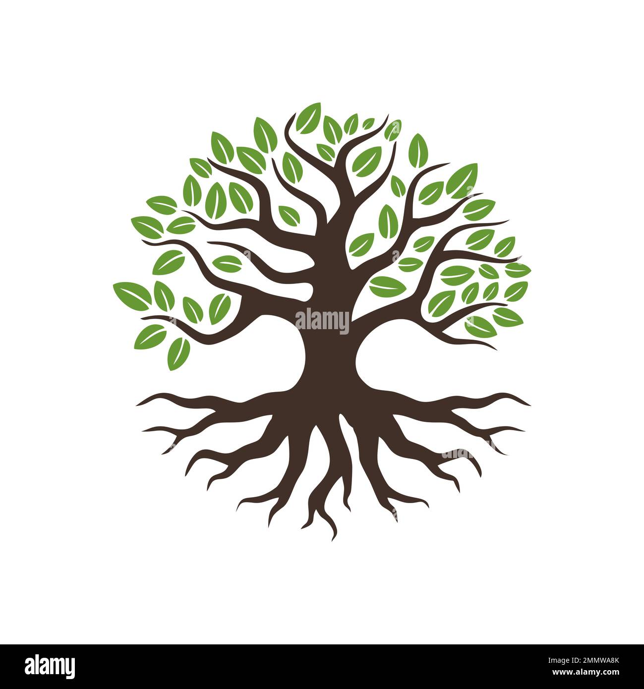 Vector Illustration of Tree and Roots Vector Illustration Icon in white ...
