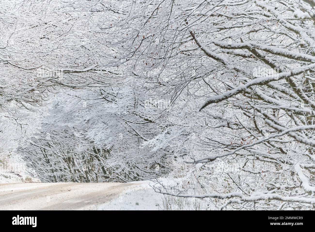 A snow covered road on Exmoor in Winter, Britain, UK Stock Photo - Alamy