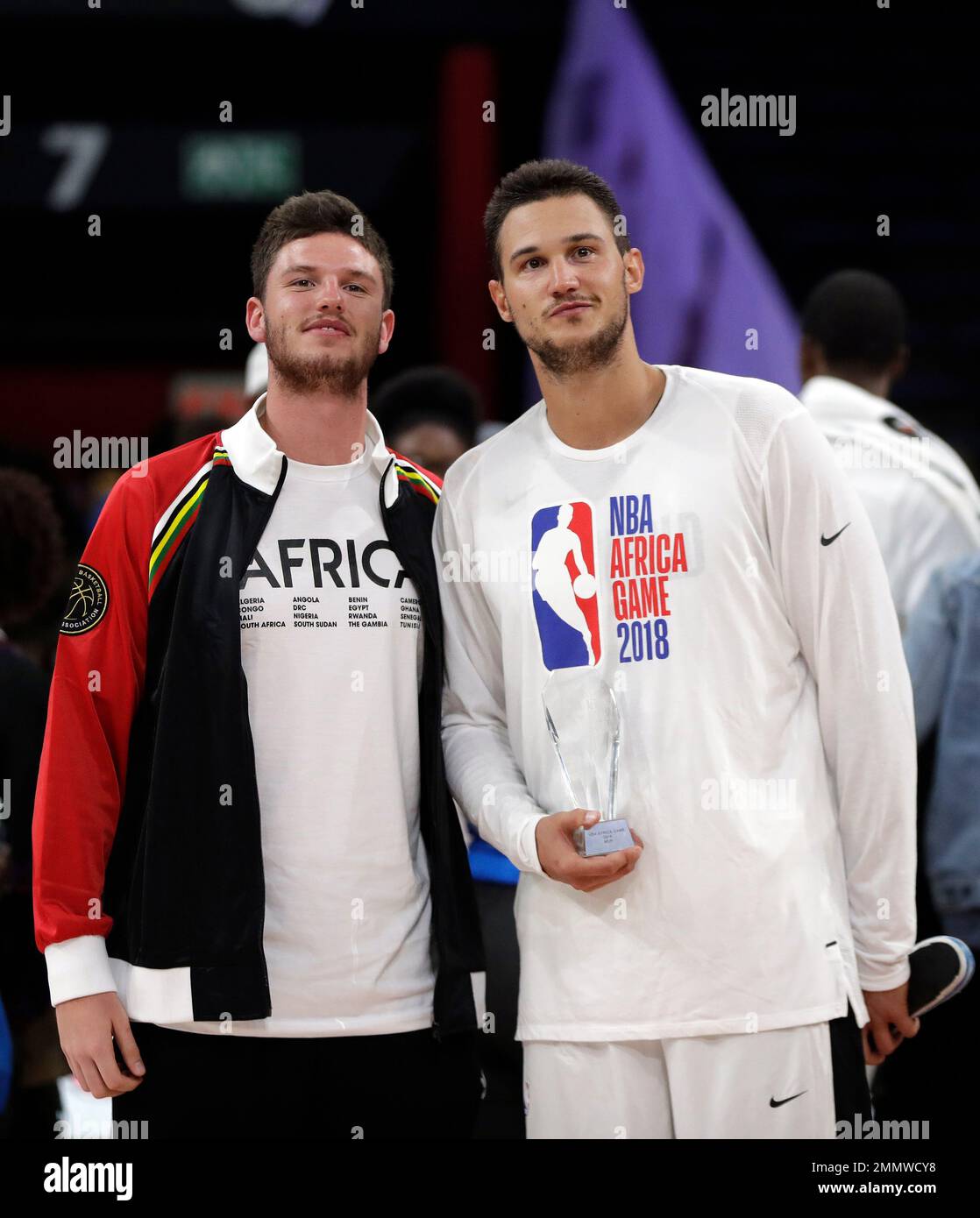 Danilo Gallinari Model