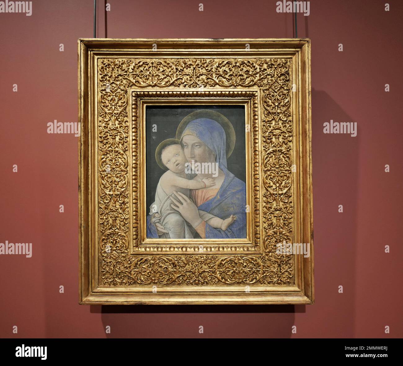 Madonna with Child by Andrea Mantegna exhibited at Accademia Carrara in ...