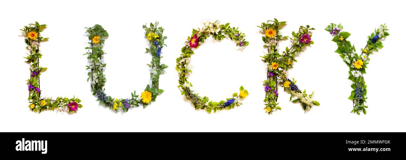 Blooming Flower Letters Building English Word Lucky Stock Photo - Alamy