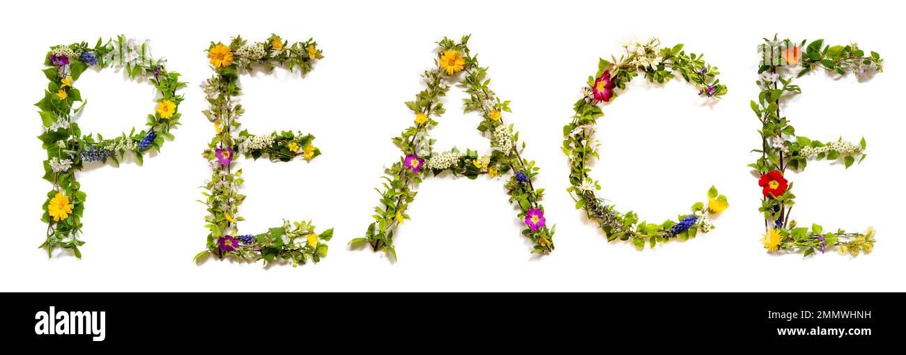 Blooming Flower Letters Building English Word Peace Stock Photo - Alamy