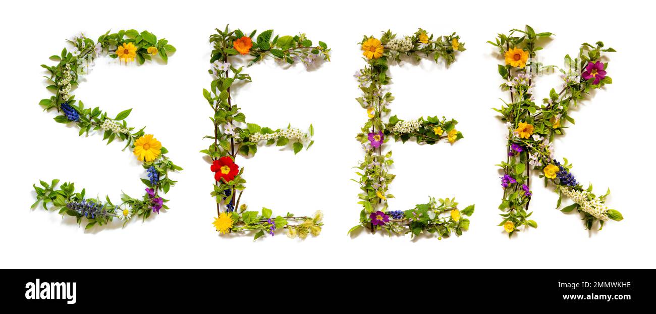 Blooming Flower Letters Building English Word Seek Stock Photo - Alamy