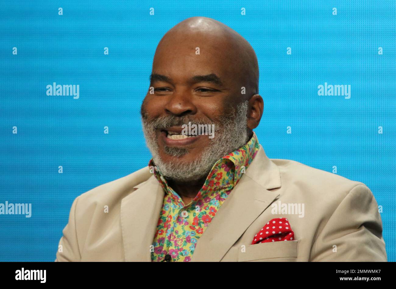 David Alan Grier participates in "The Cool Kids" panel during the Fox ...