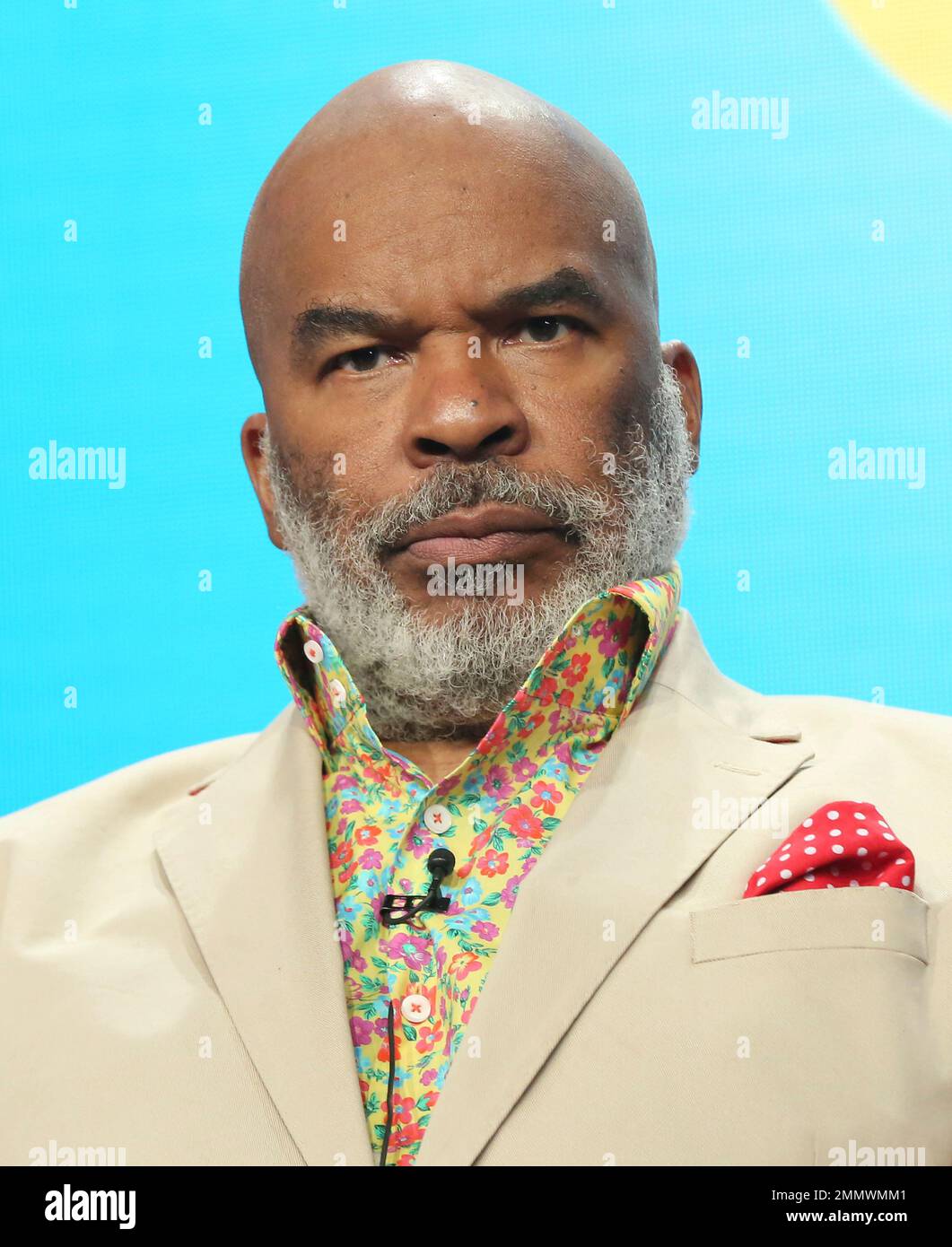 David Alan Grier participates in "The Cool Kids" panel during the Fox ...