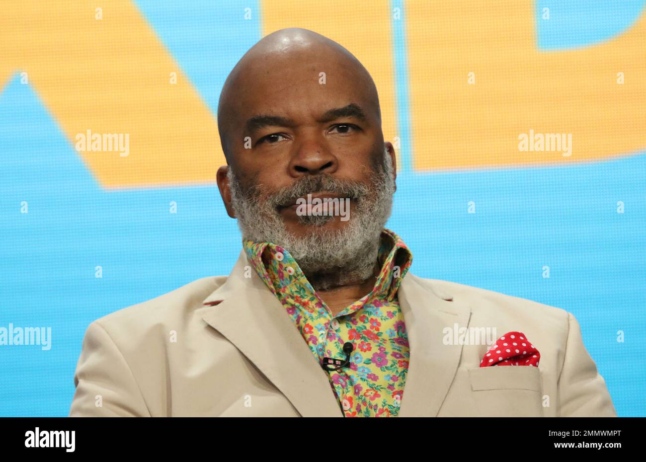 David Alan Grier participates in "The Cool Kids" panel during the Fox ...
