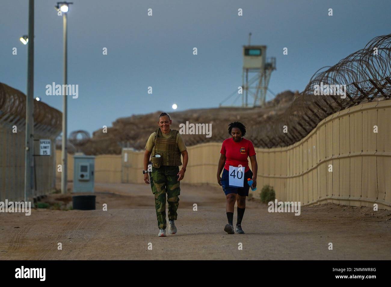 Soldiers assigned to the Multinational Force and Observers (MFO) joint ...