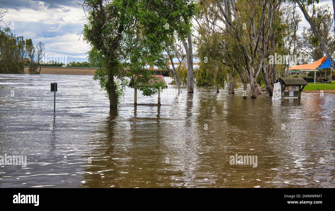 Yarrawonga, Victoria, Australia - 6 November 2022: The flooded Murray ...