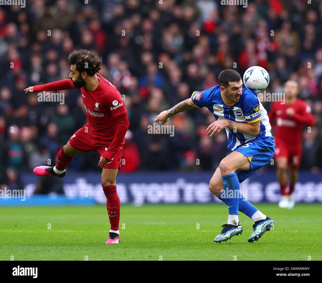 Brighton and Hove, England, 29th January 2023. Lewis Dunk of Brighton ...