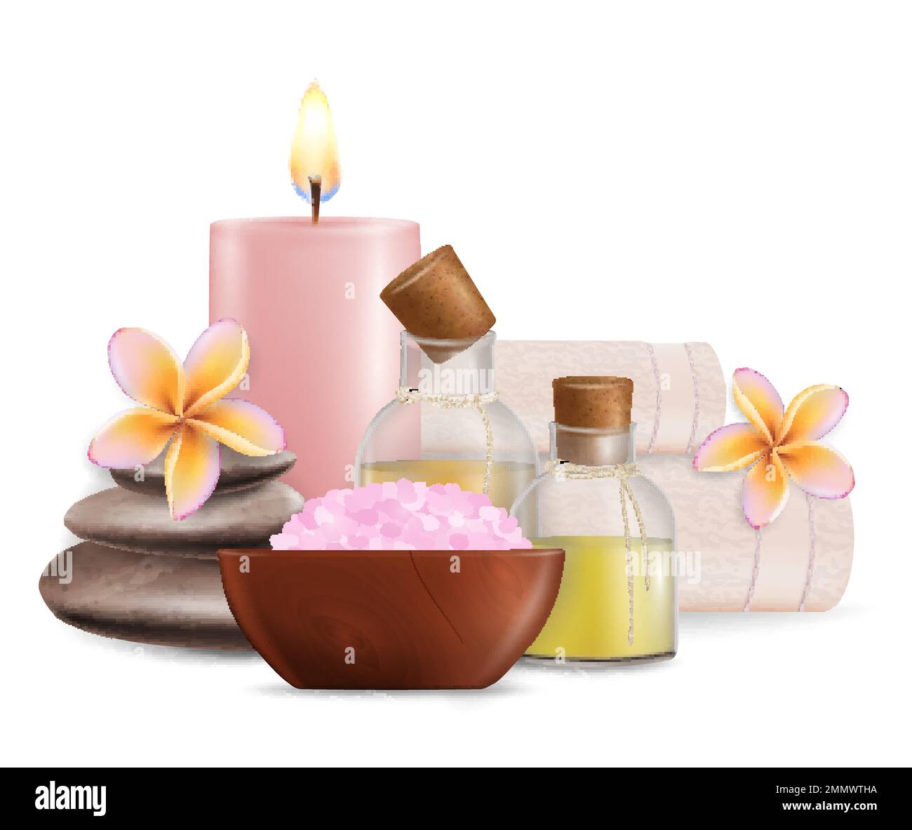 Wellness and spa salon services, vector illustration Stock Vector Image ...