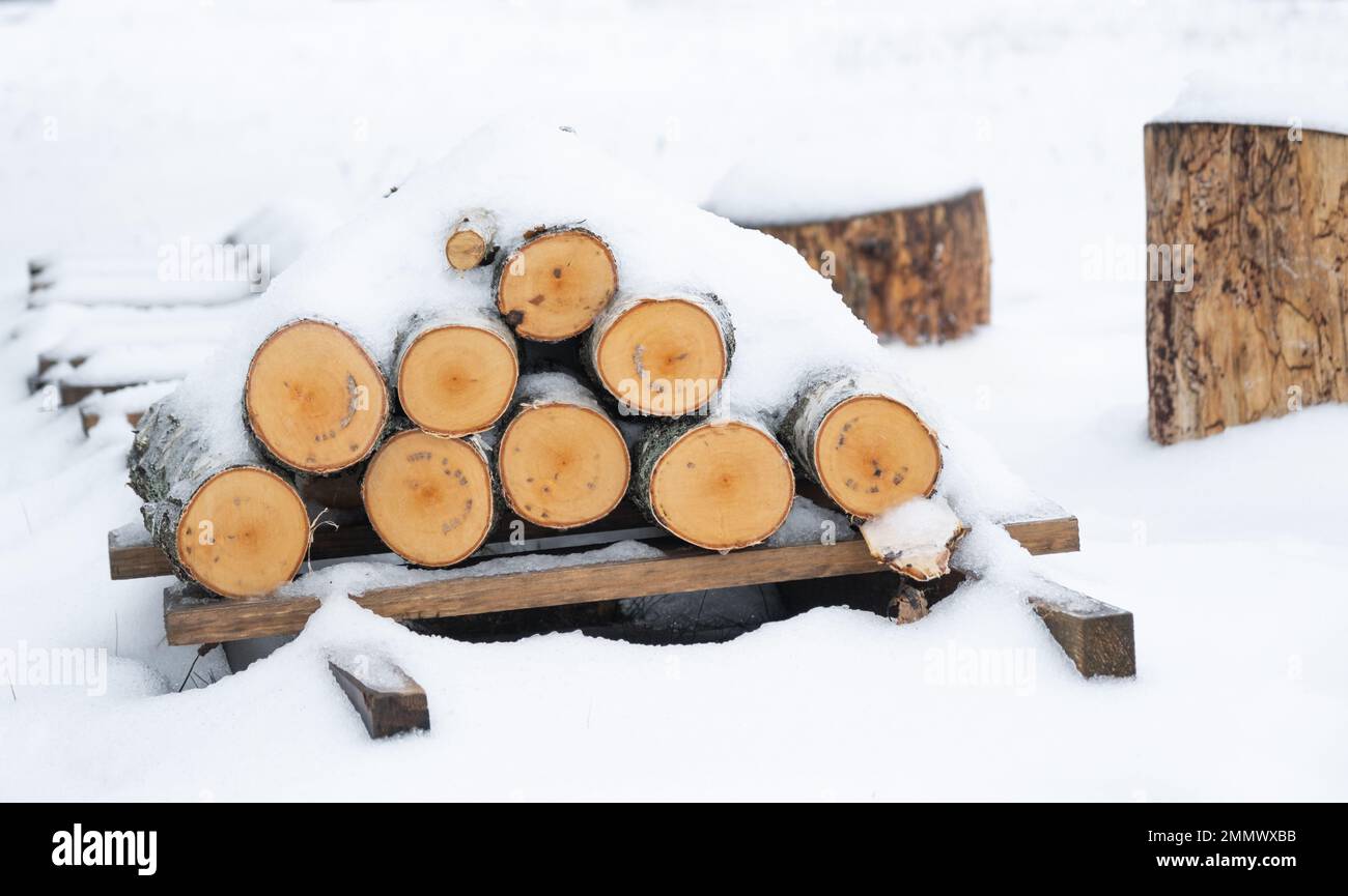 A stack of logs for firewood lie under the snow. Alternative eco ...