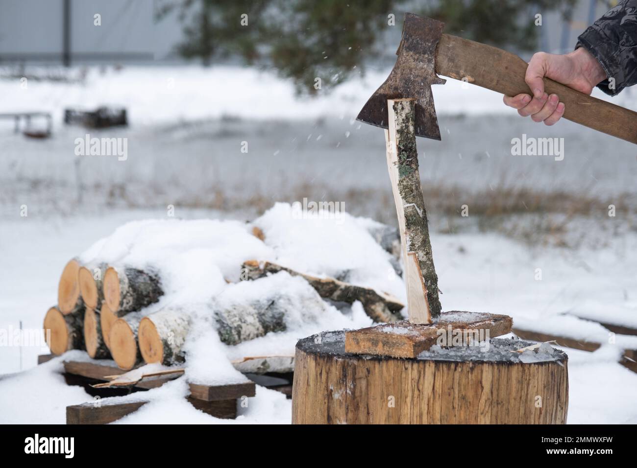 A man is chopping firewood with an axe in winter outdoor in the snow ...