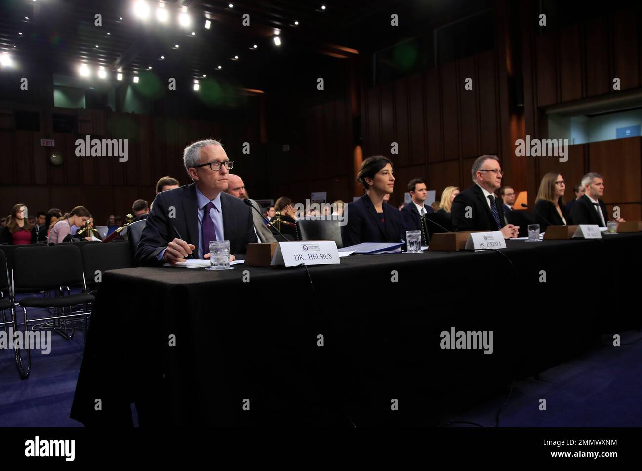 RAND Corporation Senior Behavioral Scientist Todd Helmus; from left ...