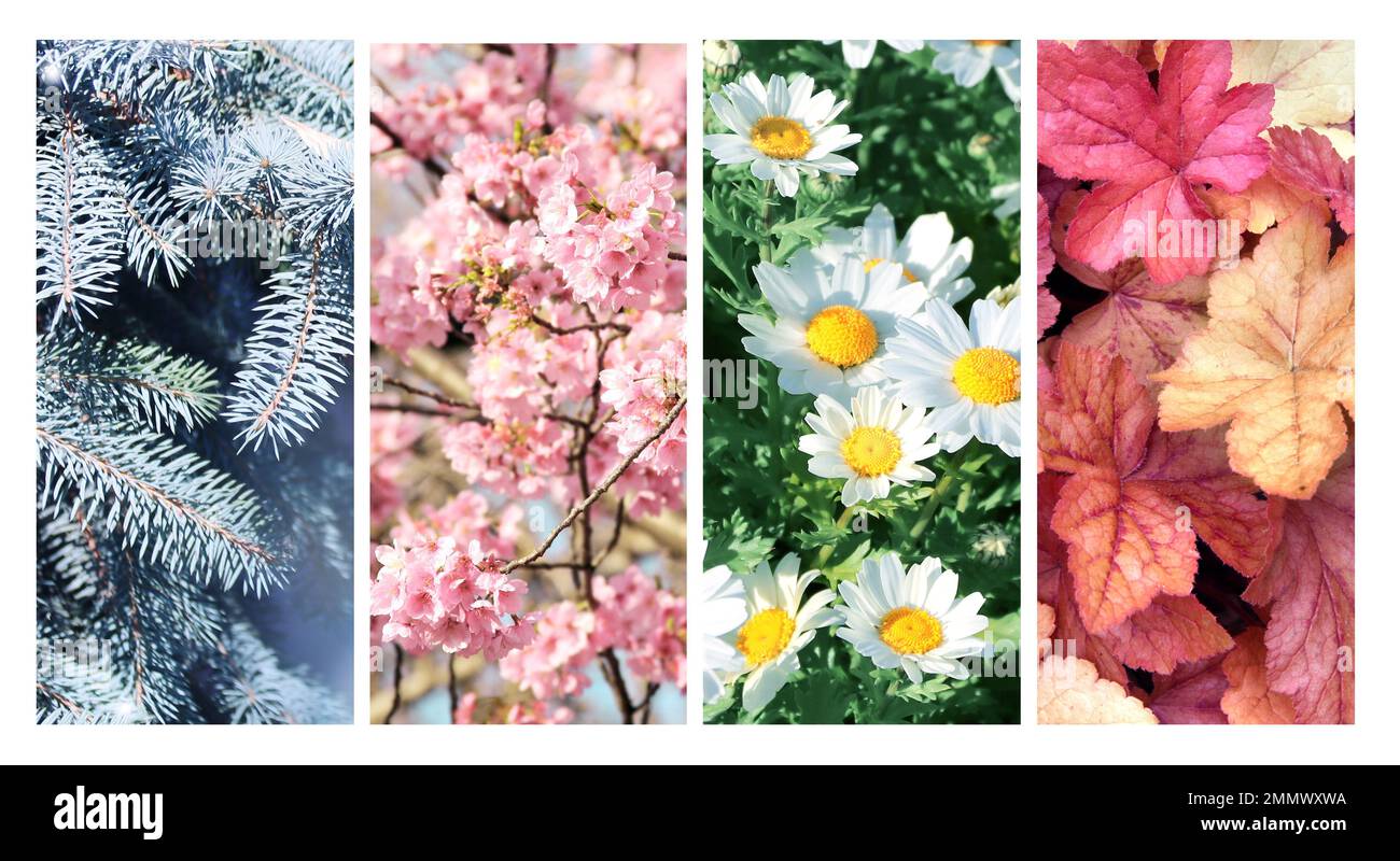 Four seasons of year. Set of vertical nature banners with winter ...