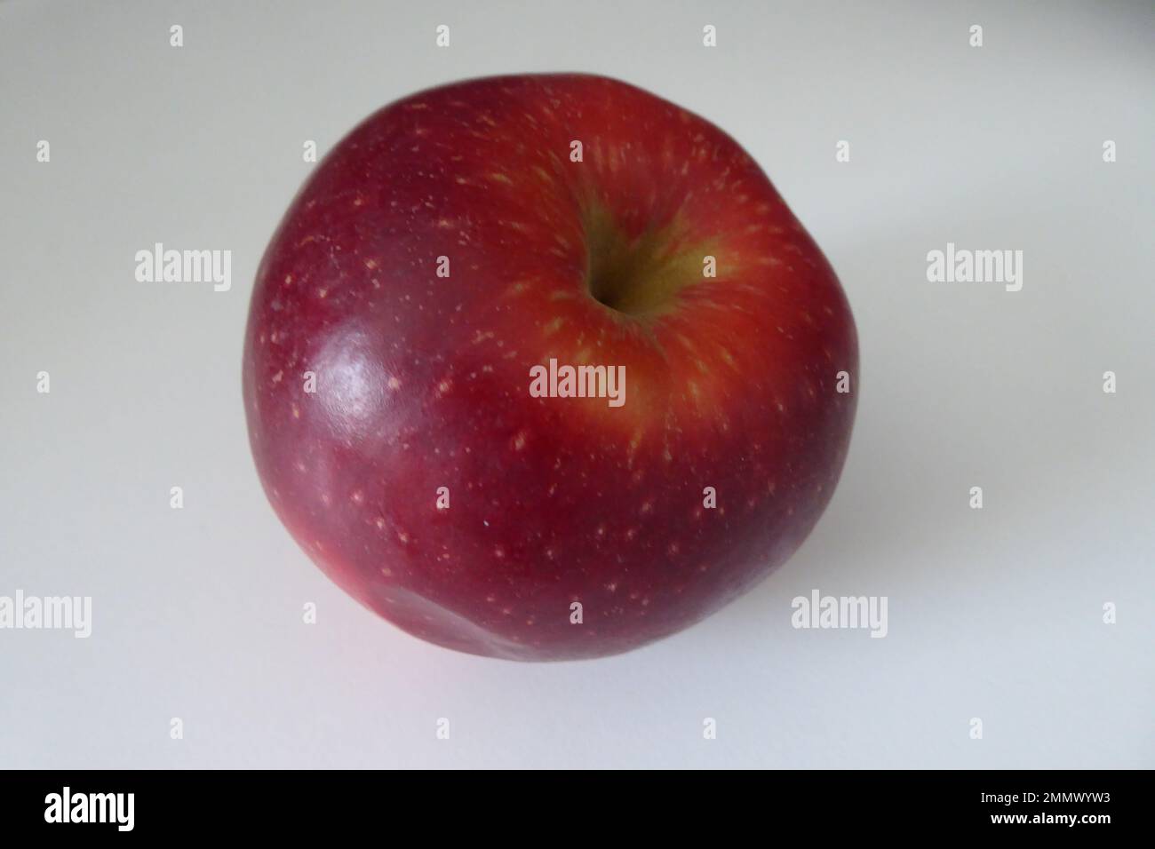 Apfel rot elstar hi-res stock photography and images - Alamy