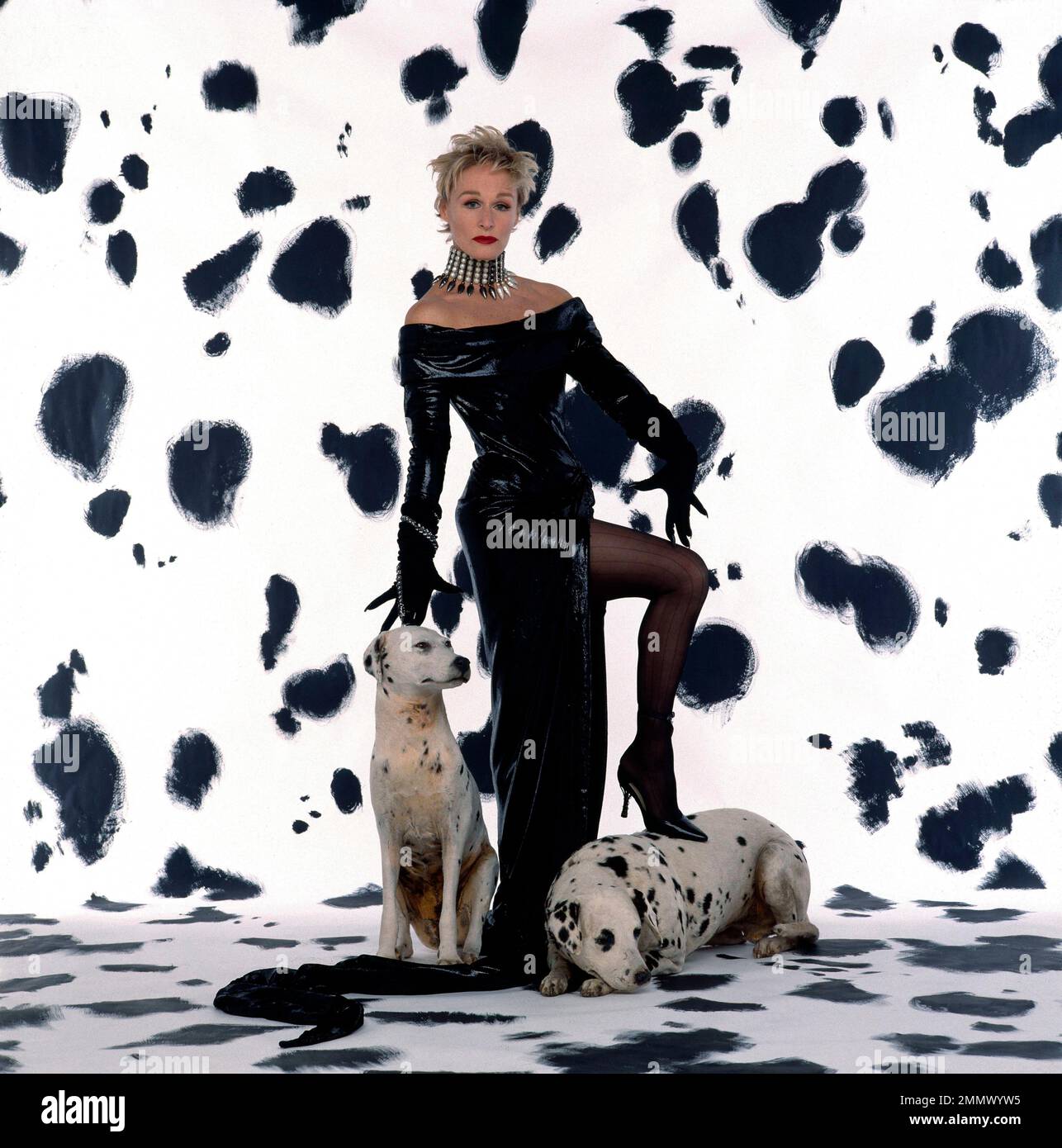 101 dalmatian hi-res stock photography and images - Alamy