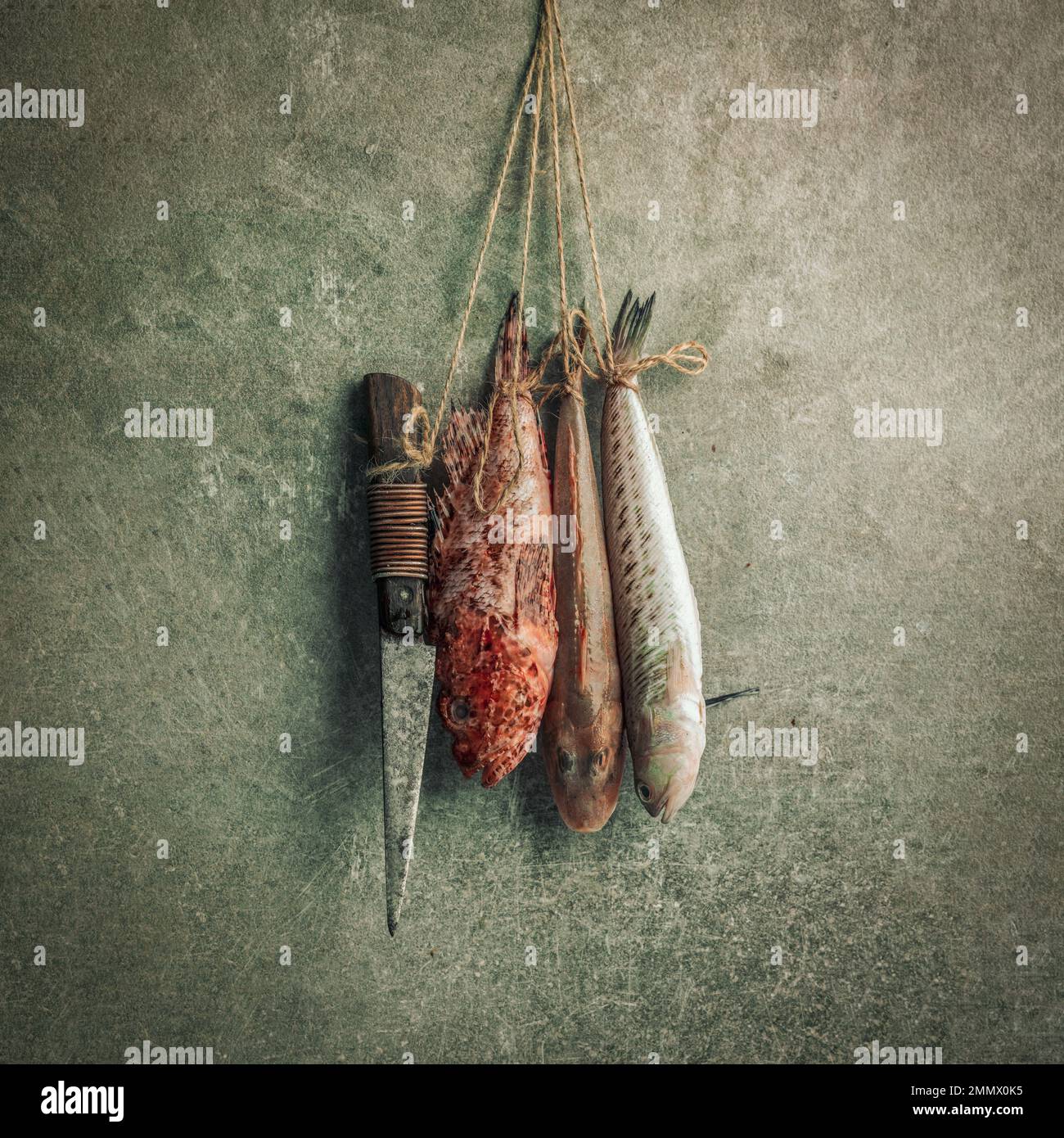 picture of uncooked fresh fish tied with rope and hanging by the wall ...