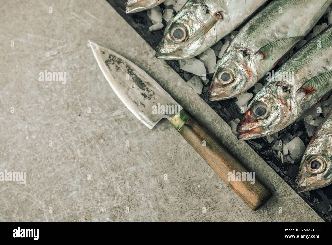 fish knife with raw fresh seabass white fish on top of cutting board ...