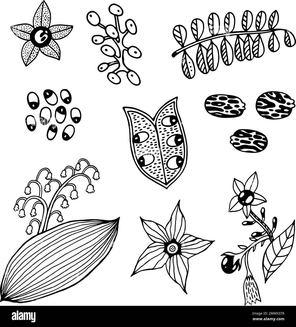 Poisonous plants - collection of flowers rosary pea, deadly nightshade ...