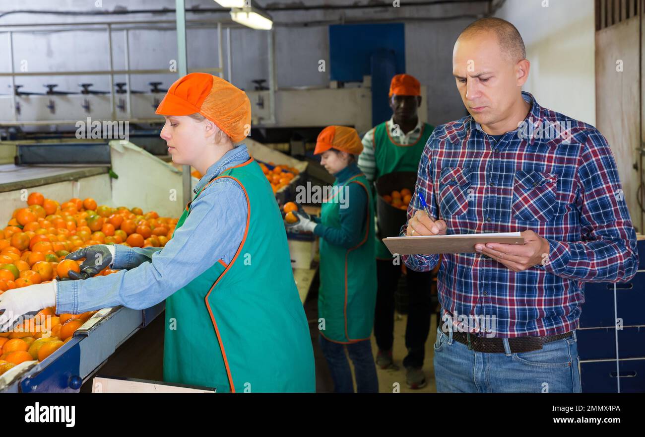 farmer controlling grading and packing of mandarin oranges performing ...