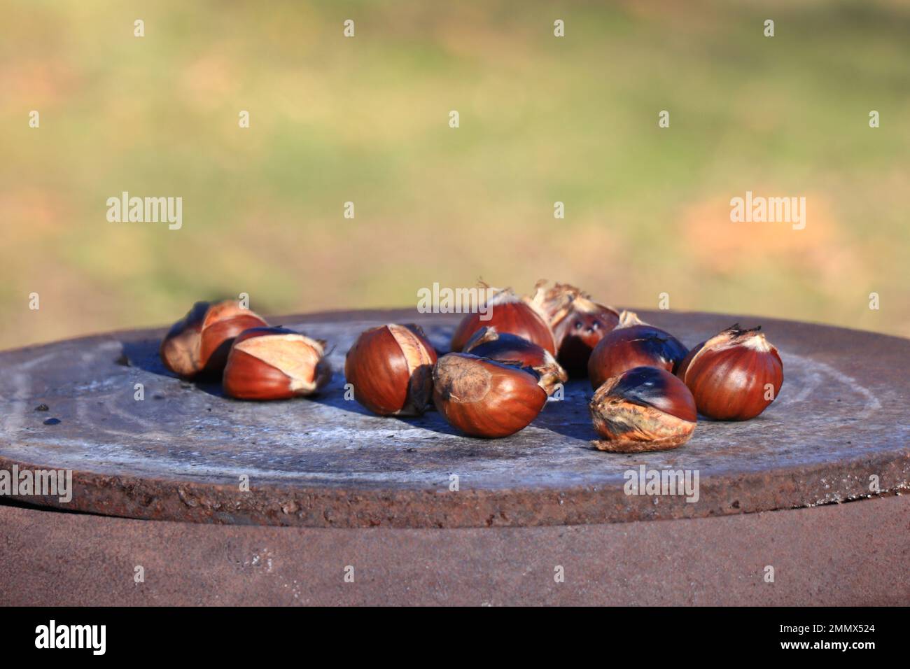 Chestnuts roasting on an open fire. Roasted chestnuts. Roast chestnuts ...