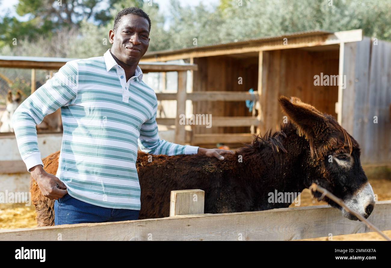 Farm owner taking care of donkey Stock Photo - Alamy