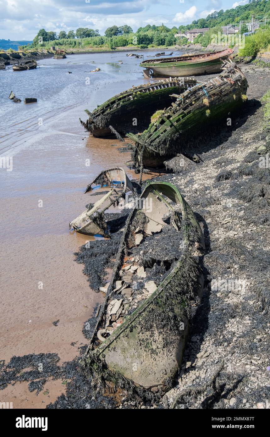Derelict abandoned vessels in ships graveyard at Bowling Basin, Forth ...