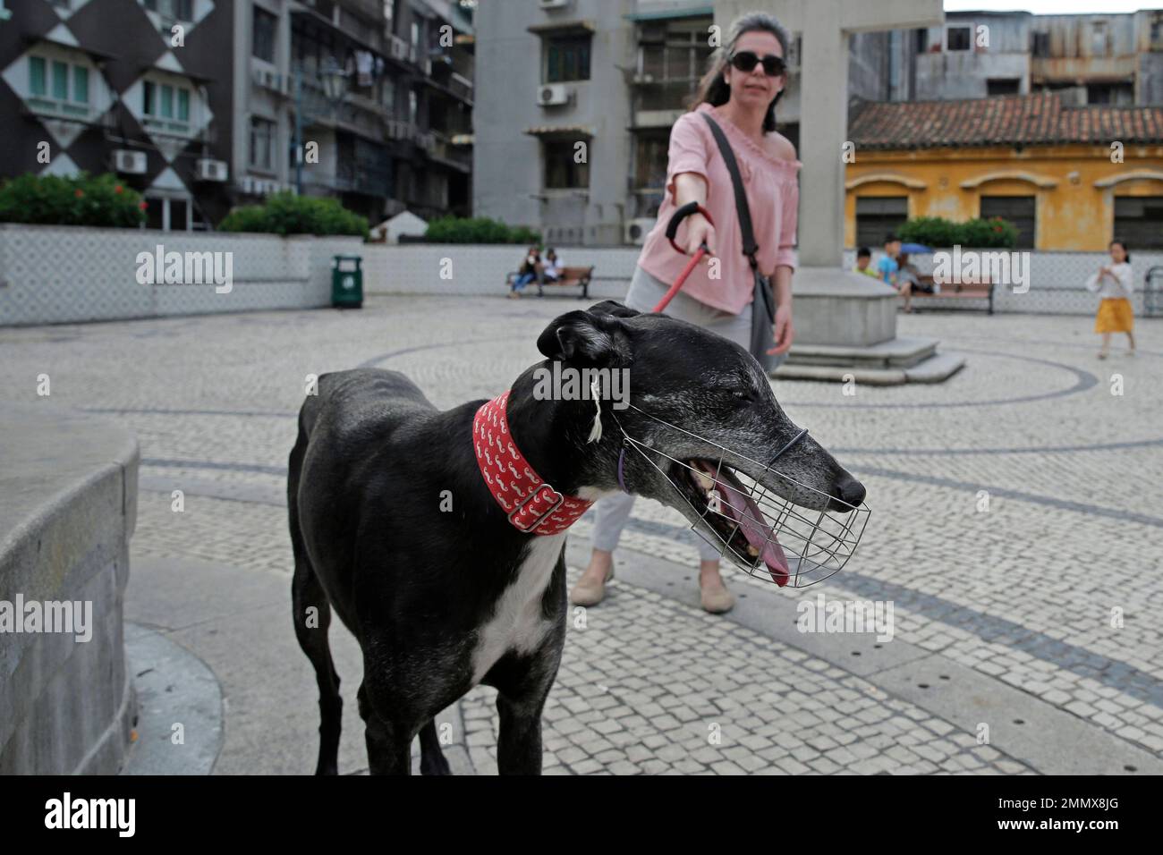 In this June 2, 2018 photo, Maria Joao walks with her adopted greyhound ...