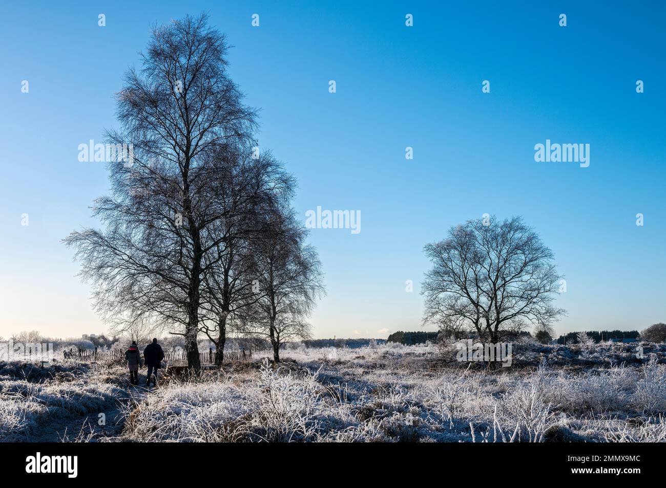 Winter frost and light covering of snow on field and trrees in rural ...