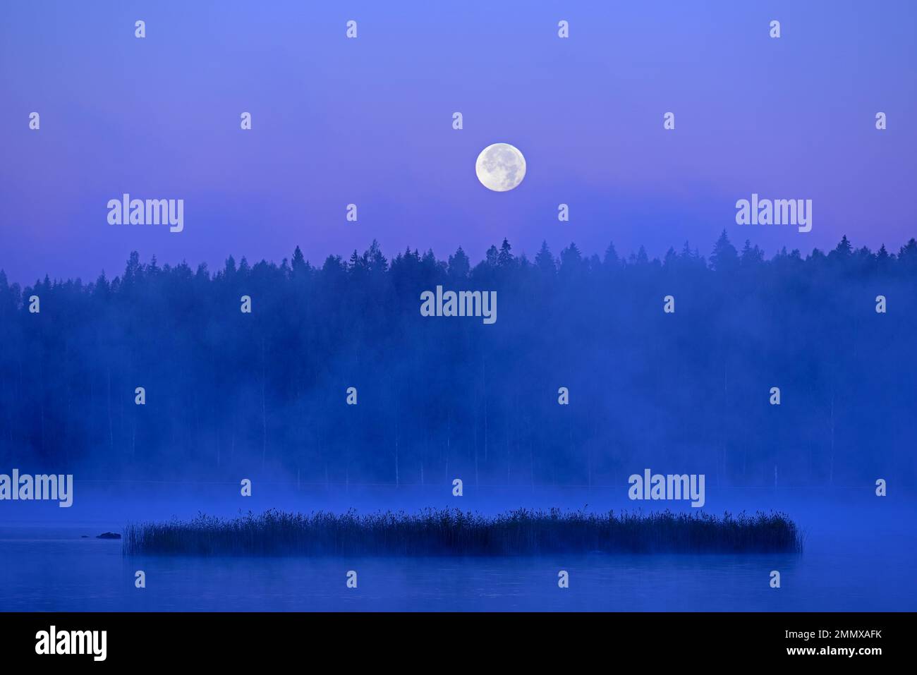 Full moon above forest, misty lake and a small island in front ...