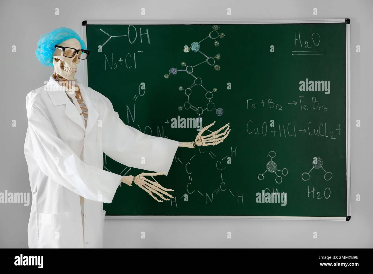 Human skeleton model near chalkboard in classroom Stock Photo - Alamy