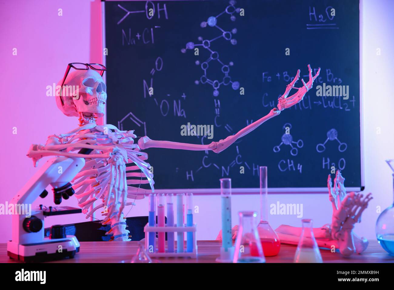 Skeleton and different chemistry glassware in classroom, toned in pink ...