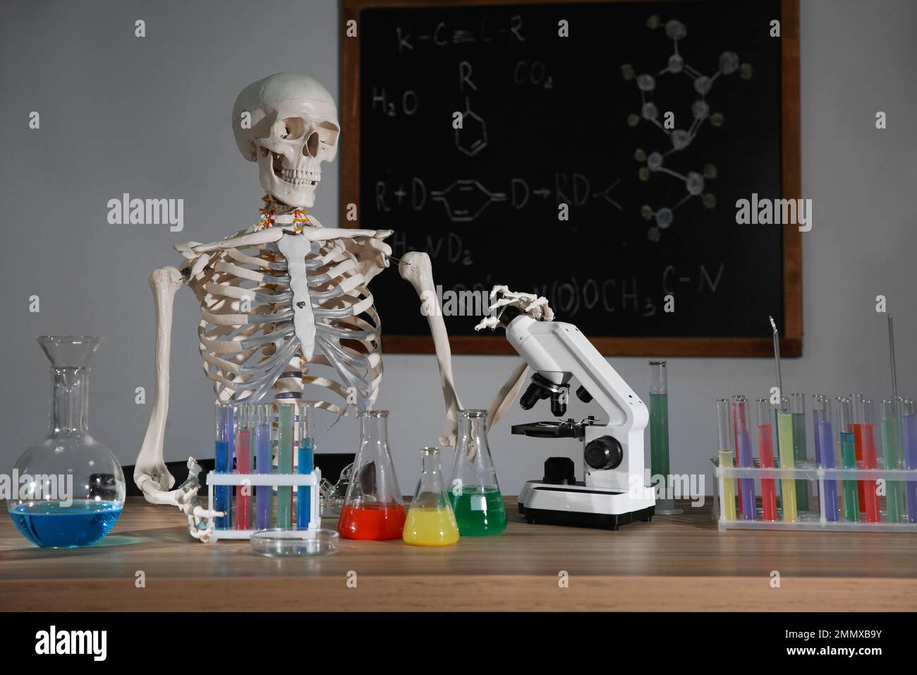 Skeleton and different chemistry glassware in classroom Stock Photo - Alamy