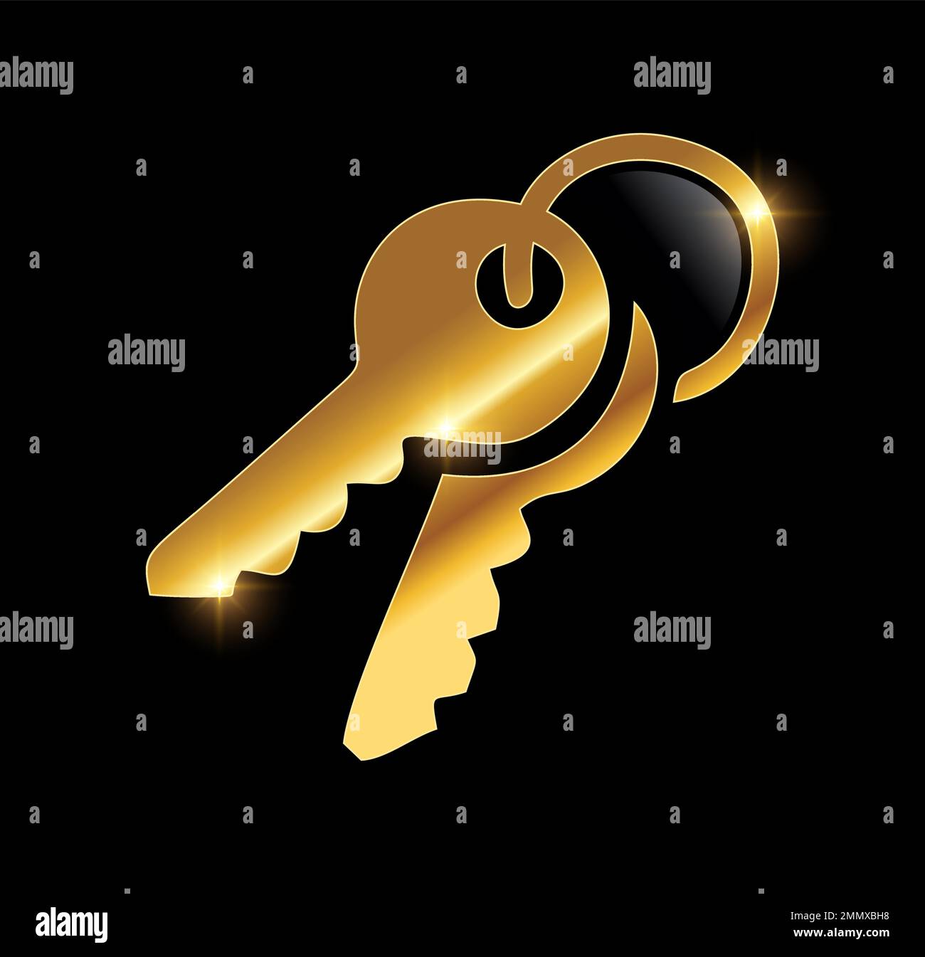 A vector Illustration of Golden Luxury Key Vector Icon in black ...