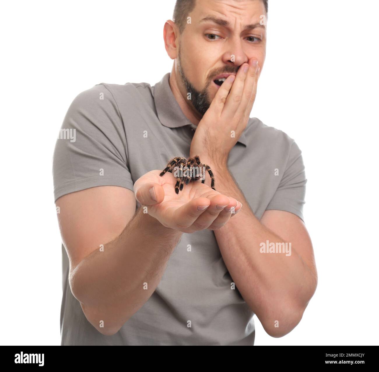 Scared man holding tarantula on white background. Arachnophobia (fear ...