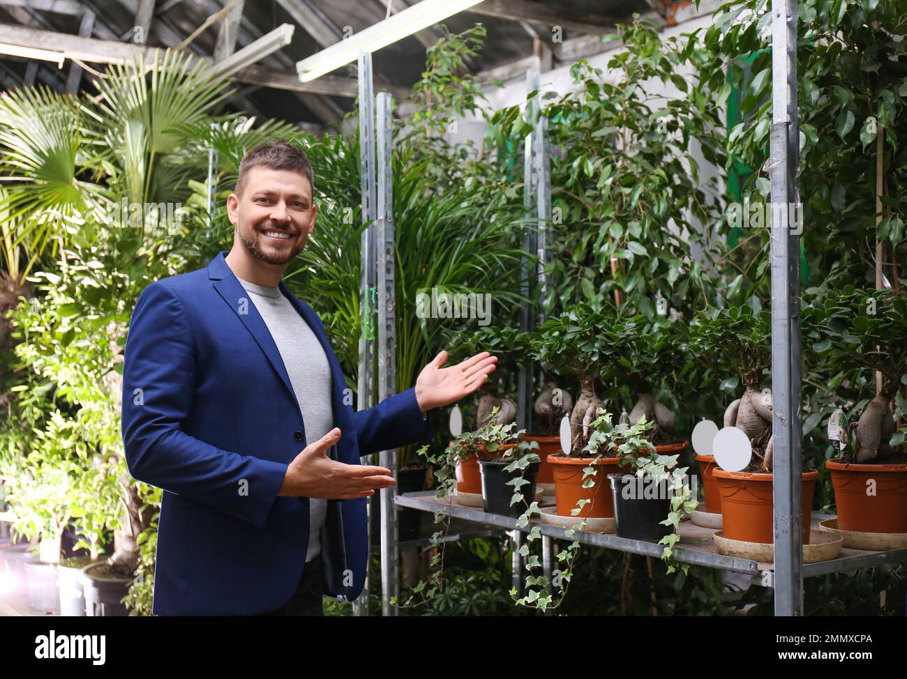 Portrait male owner greenhouse hi-res stock photography and images - Alamy